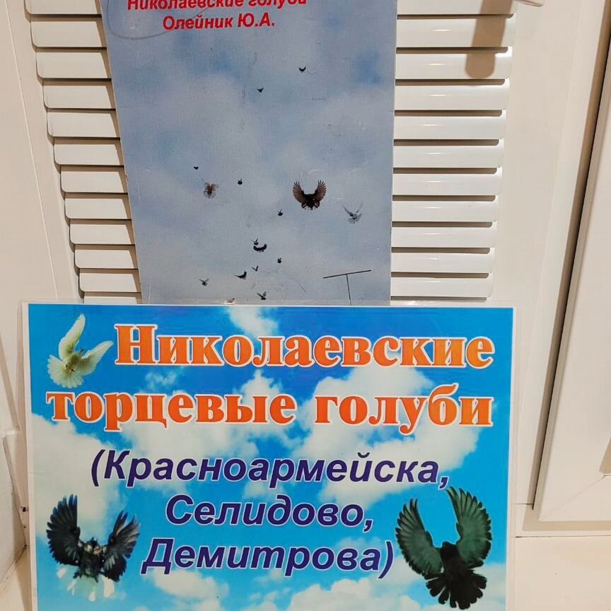 Голуби Николаевские