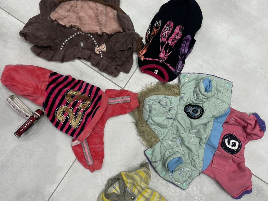 Одежда для маленьких собак размер s