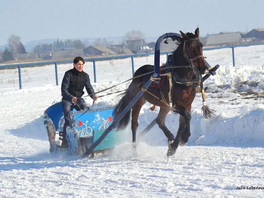 Сани телега для лошади