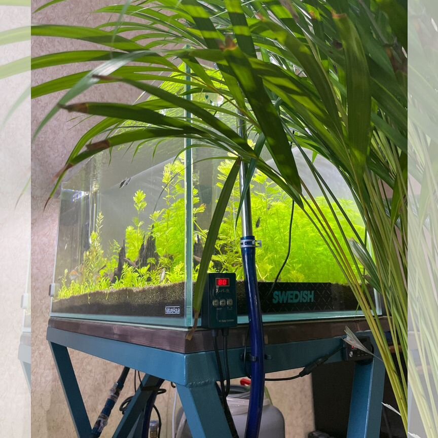 Аквариум 180 полный комплект