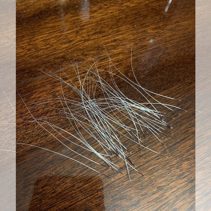 Кашачьи усы