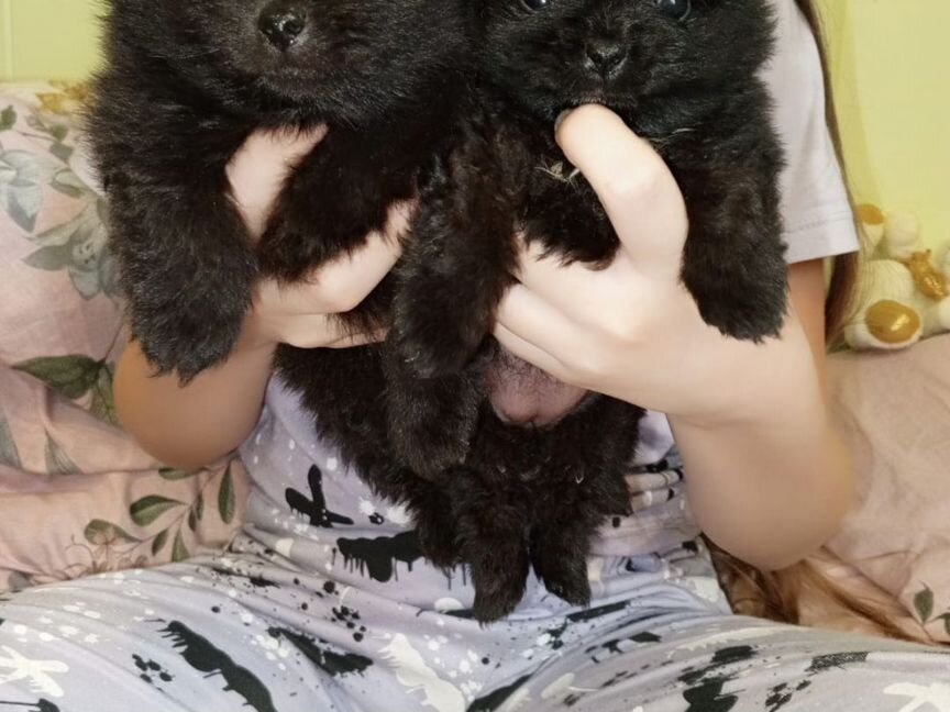 Черные девочки бриллиантики