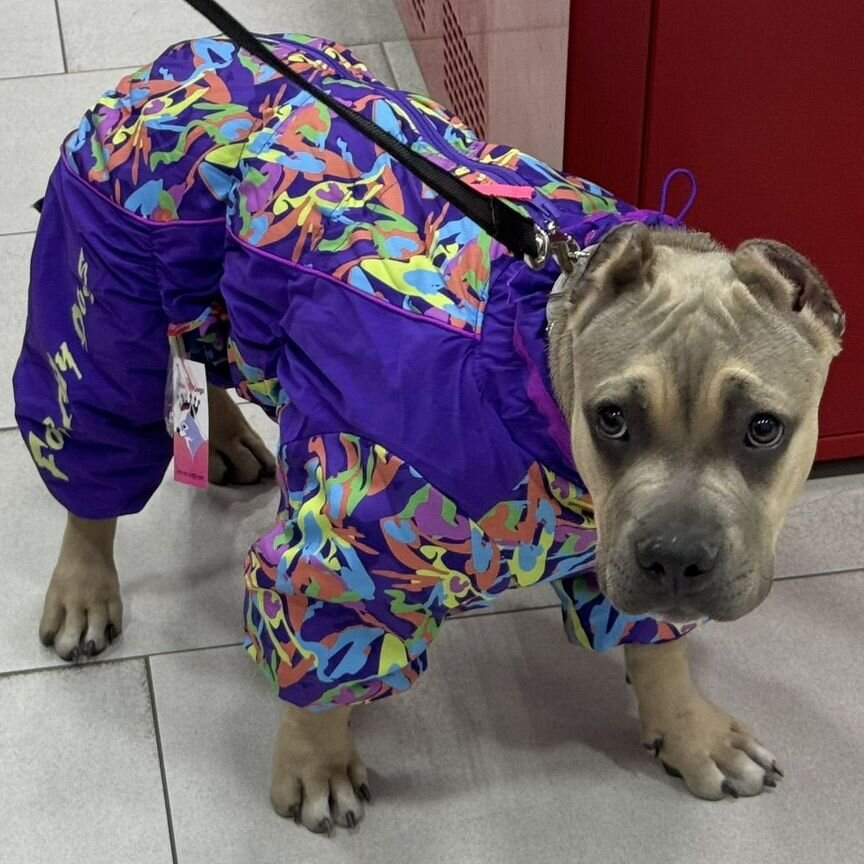 Зимние комбинезоны для собак девочек крупных пород