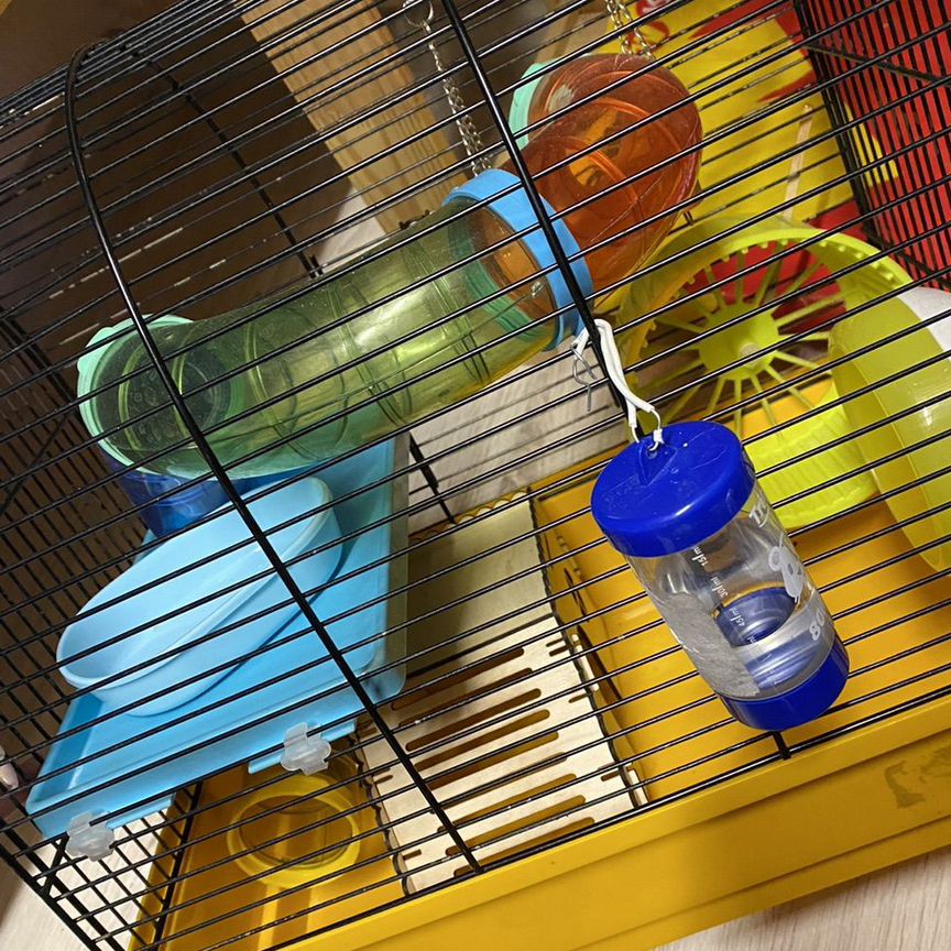 Клетка для хомяка бесплатно