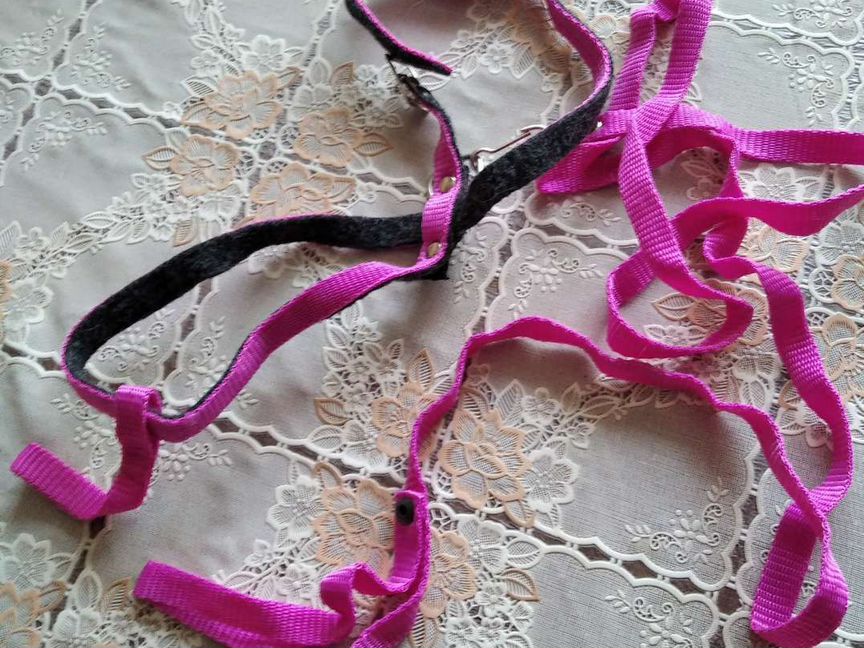 Шлевка для кошки