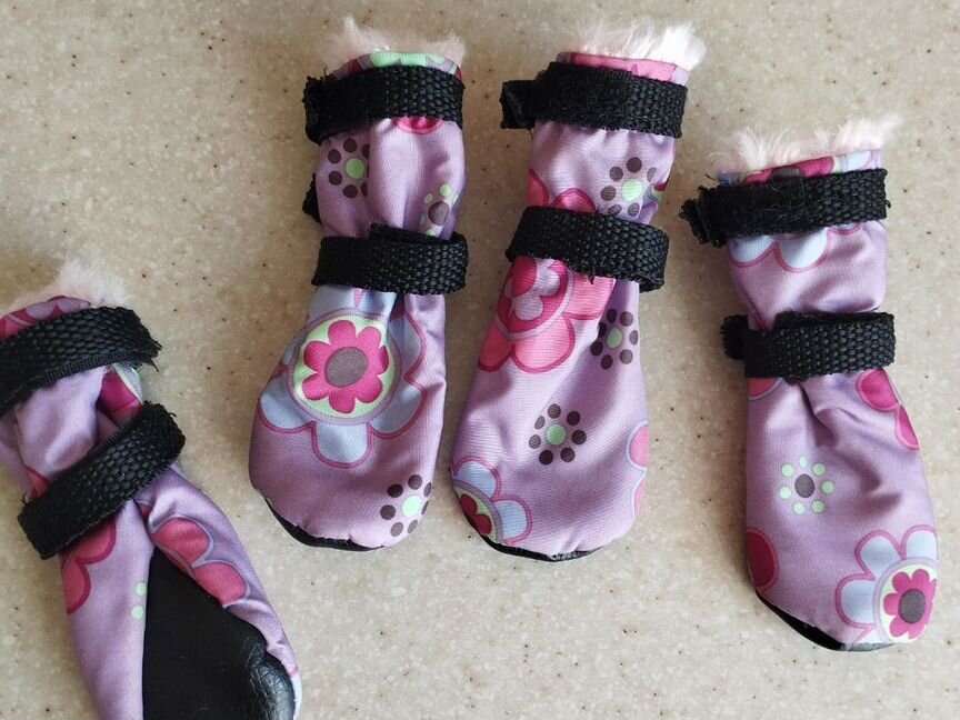 Обувь для собак мелких пород