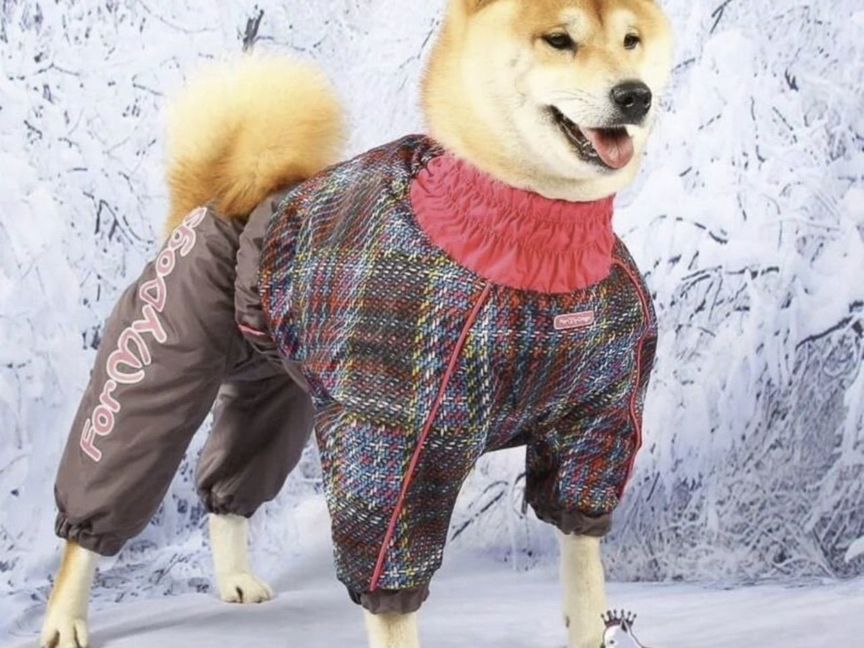 Комбинезон for my dogs B1