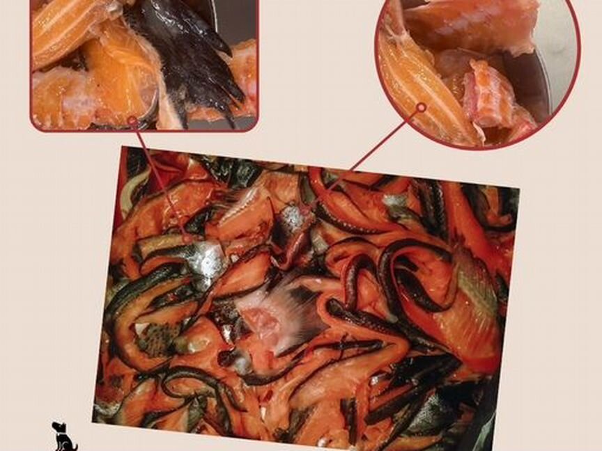 Обрезь красной рыбы блок