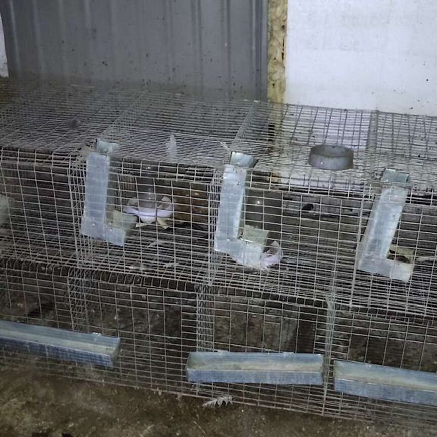 Клетка для кролика, кур