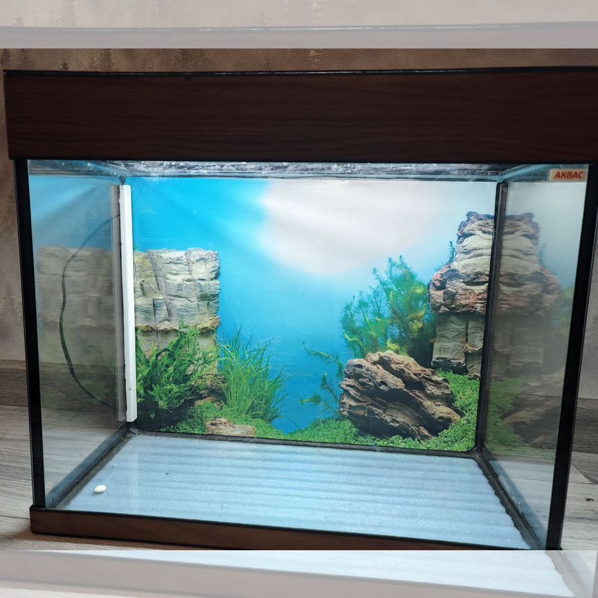 Аквариум стеклянный 70 л с оборудованием