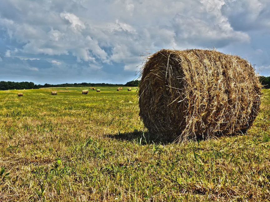 Продам сено/солому