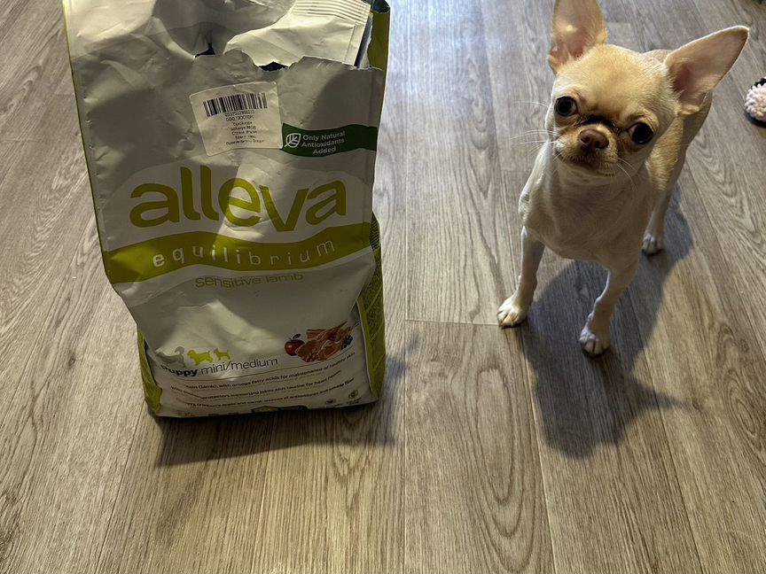 Корм Alleva puppy 1.5кг