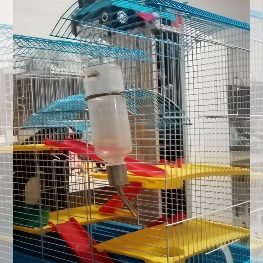 Клетка для грызунов бу