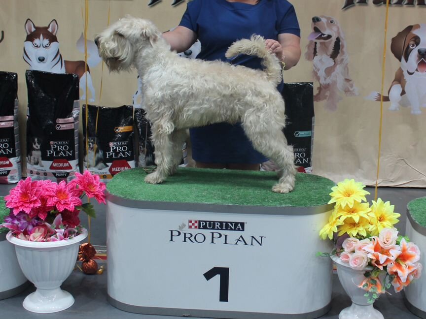 Ищем подругу