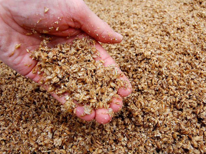 Пивная дробина