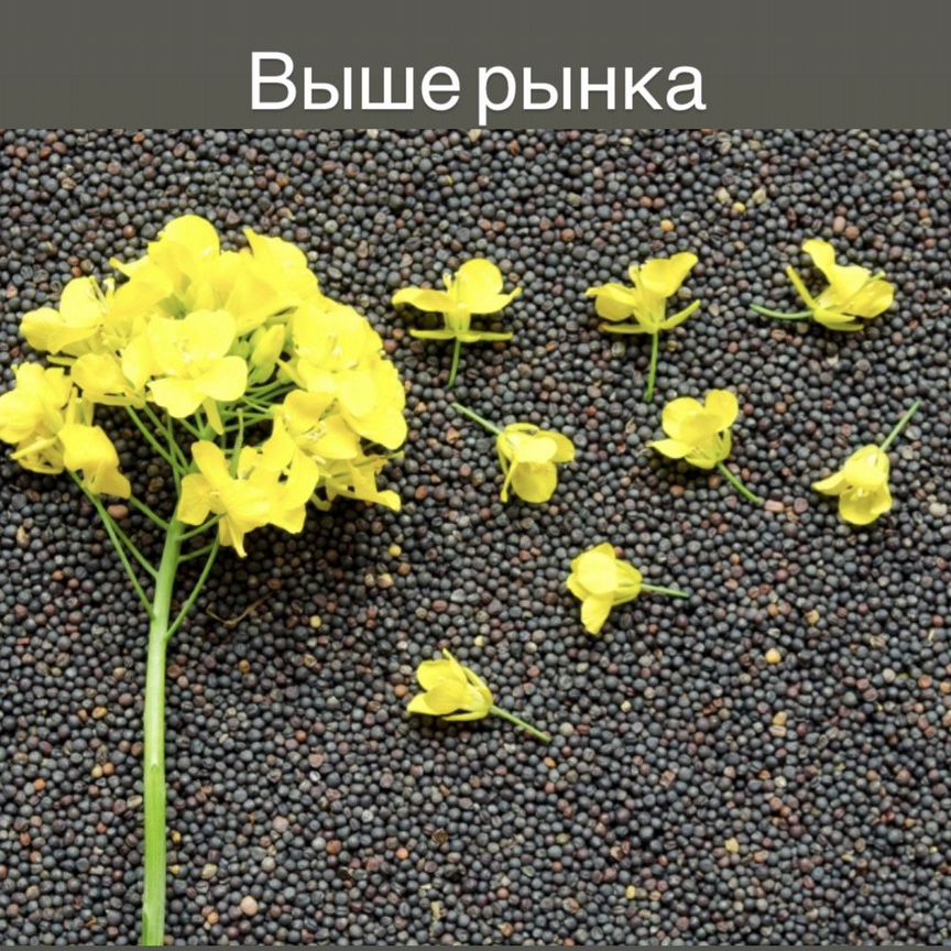 Рапс, подсолнечник