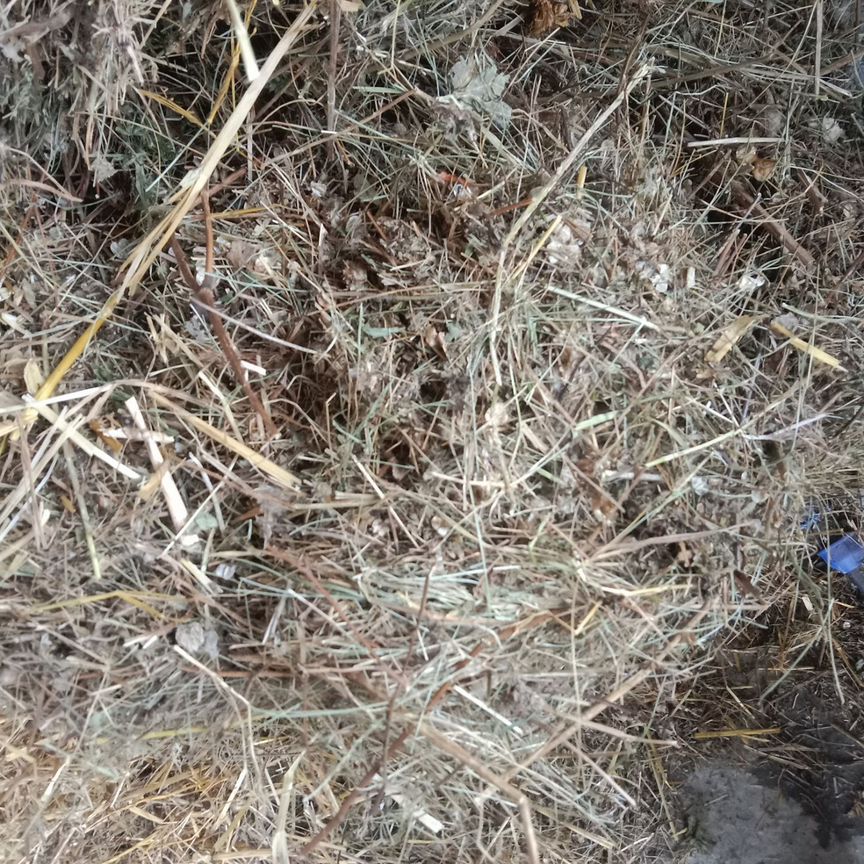 Сено в брикетах