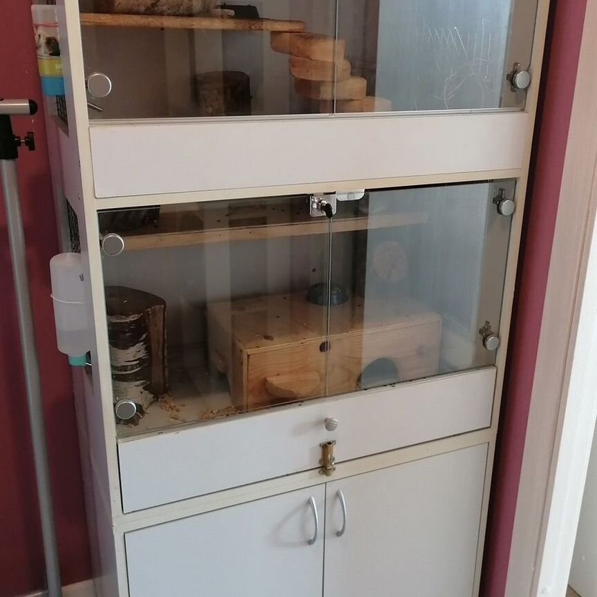 Витрина для шиншилл