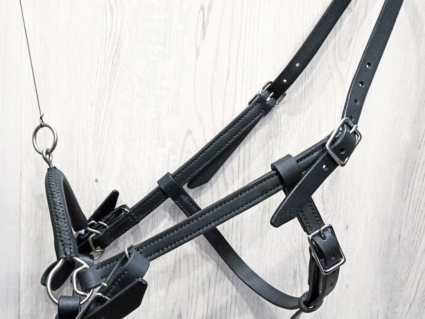 Уздечка для лошади