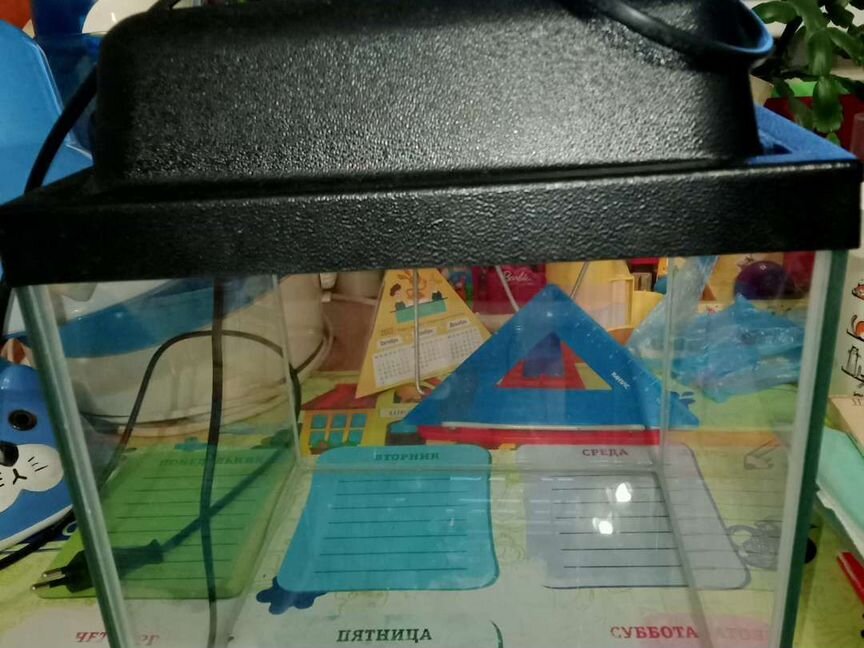 Аквариум -террариум