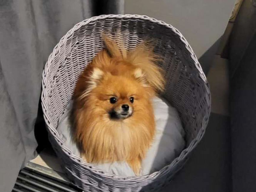 Корзина плетёная