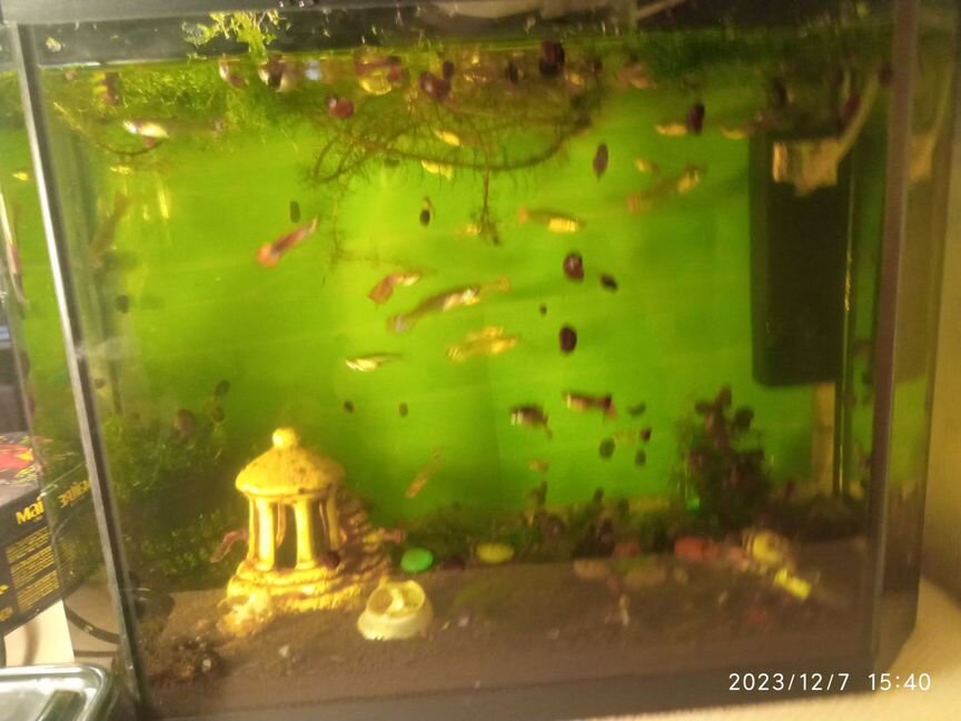 Аквариум с рыбками бу