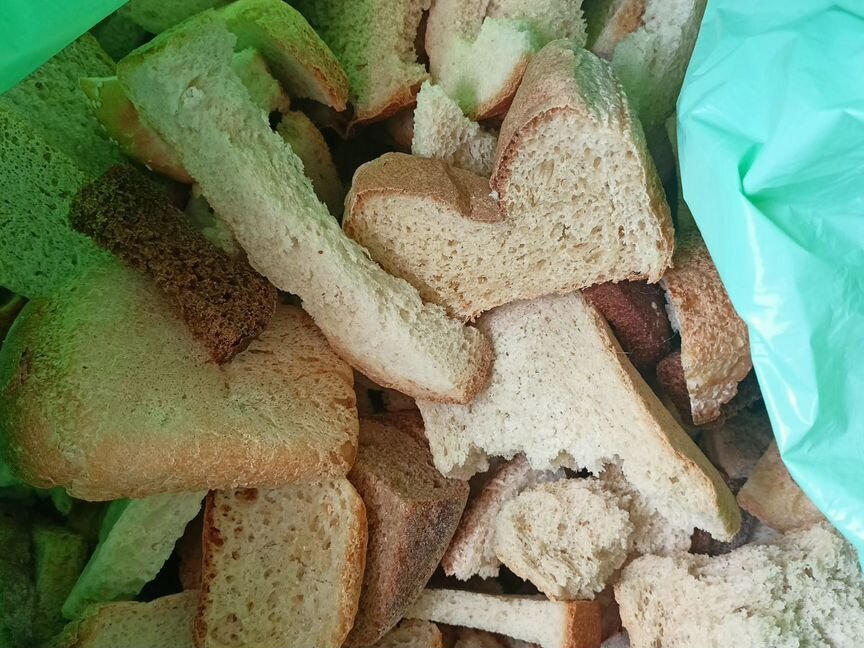 Сухари для животных бесплатно