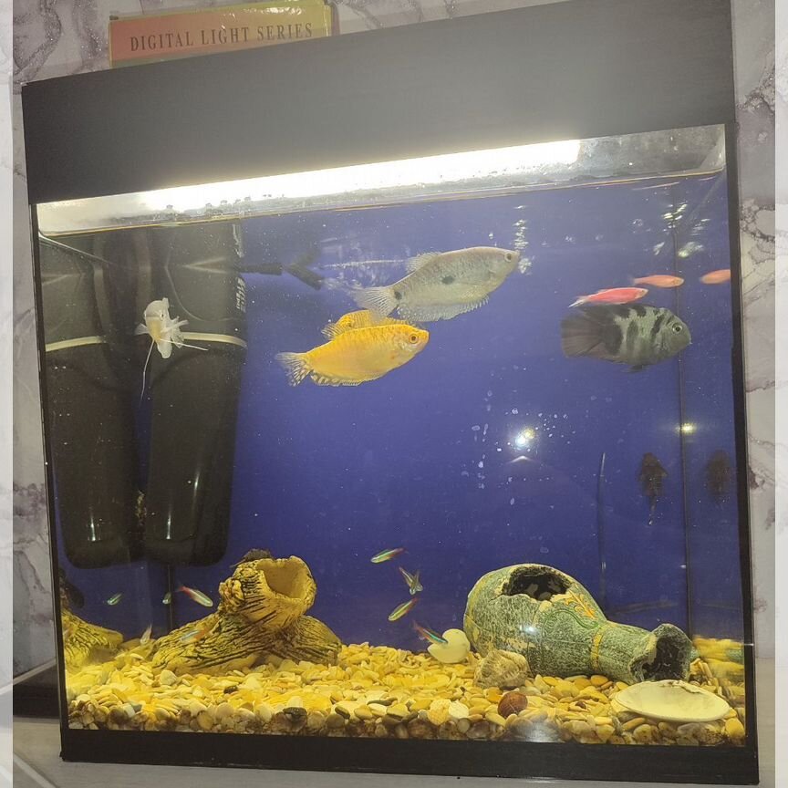 Продам аквариум бу