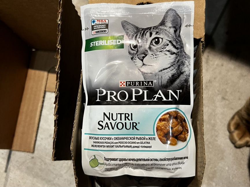 Влажный корм для кошек Pro plan