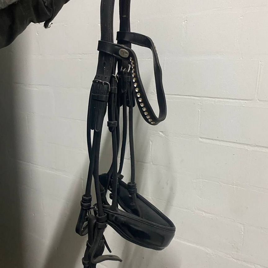 Уздечка для лошади.Оголовье.Дион