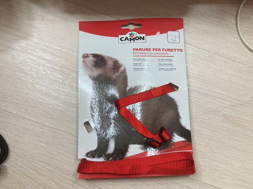 Шлейка для хорька