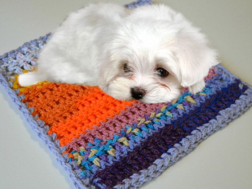 Коврик вязаный для собак и кошек.Ручной труд.Обмен