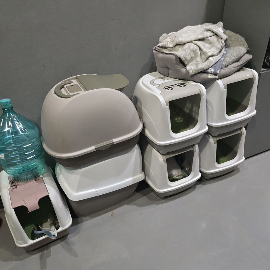 Туалет для кошек