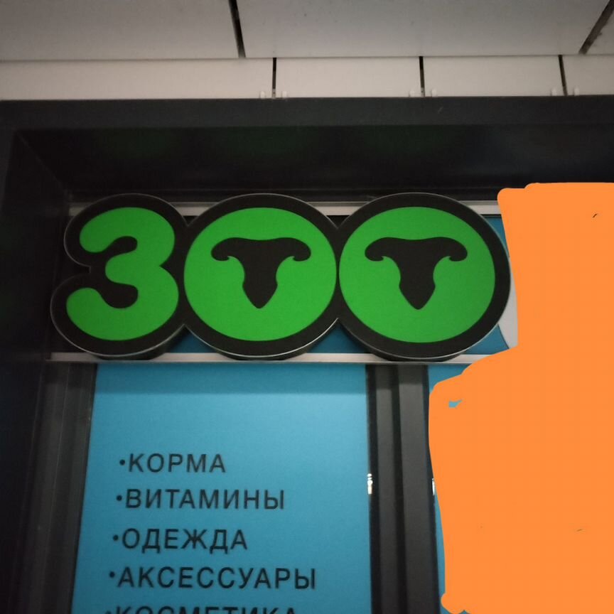 Зоомагазин реклама