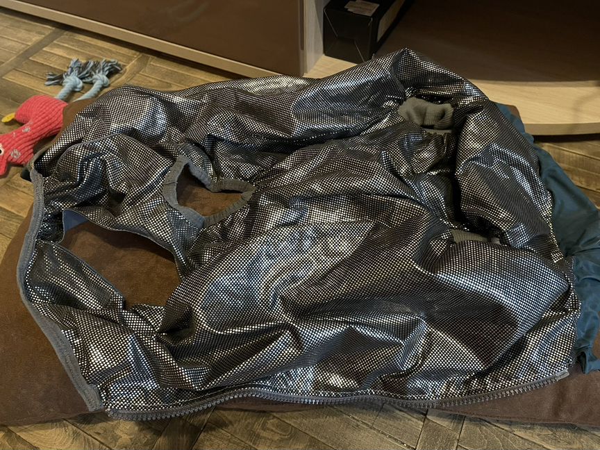 Мембранный зимний для корги на мальчика Risto