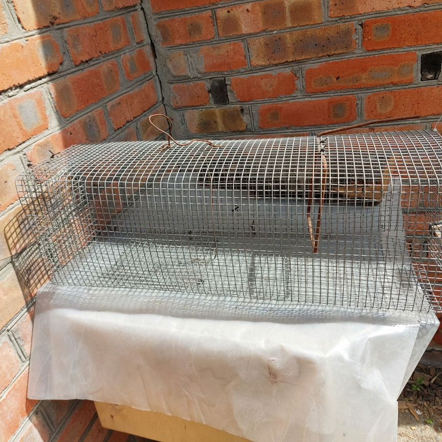 Клетка "крысоловка" бу