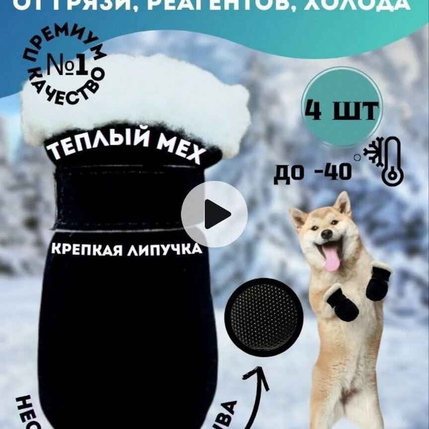 Ботиночки для собак