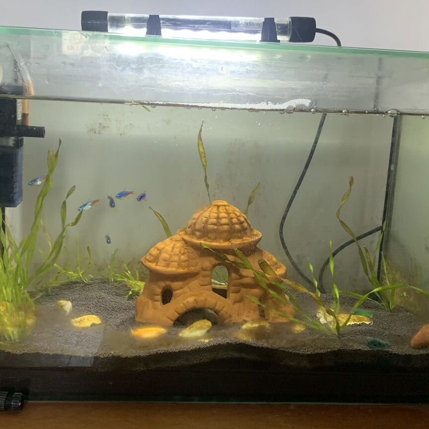 Аквариум с рыбками 25л