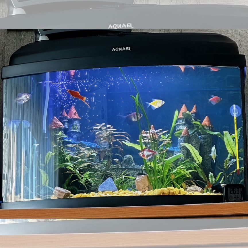 Аквариум aquael