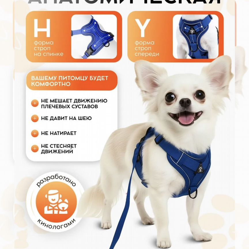 Анатомическая шлейка для собак