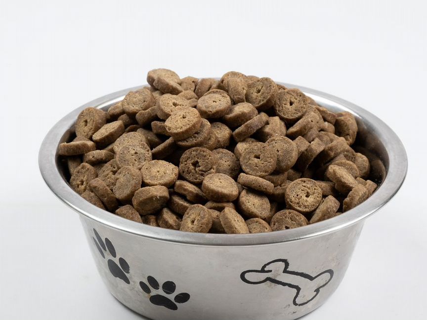 Сухой корм для собак с курицей