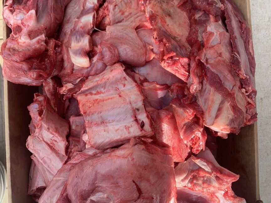 Мясо субпродукты для собак