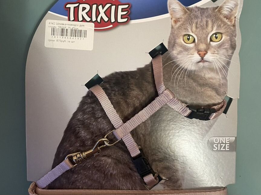 Шлейка с поводком для кошек и кофта