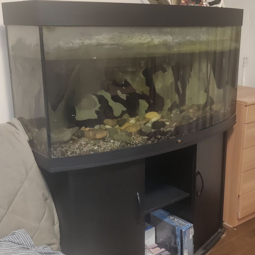 Аквариум с тумбой juwel vision 450 литров