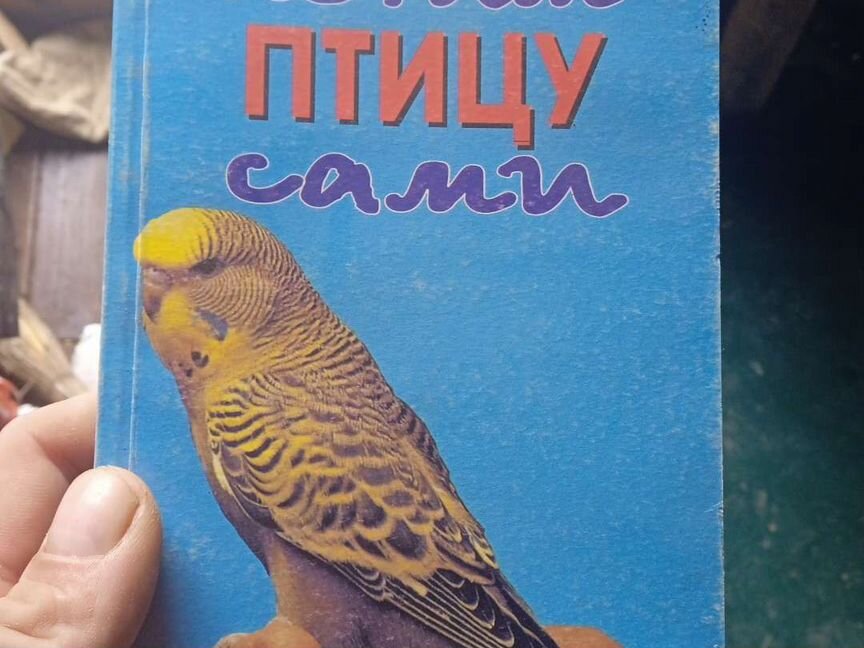 Лечим птицу сами
