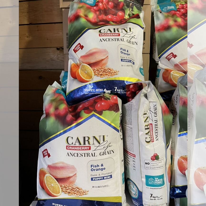 Корм для собак