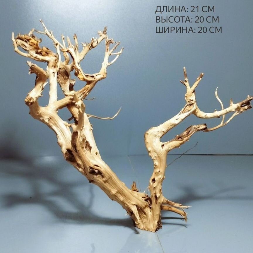 Изящная коряга-деревце 8 для аквариума 21*20*20см