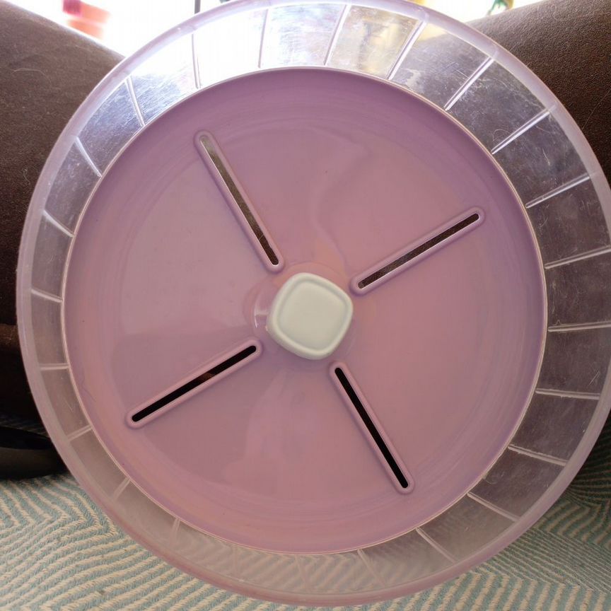 Колесо для грызунов