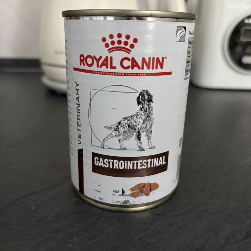 Консервы для собак royal canin gastrointensial