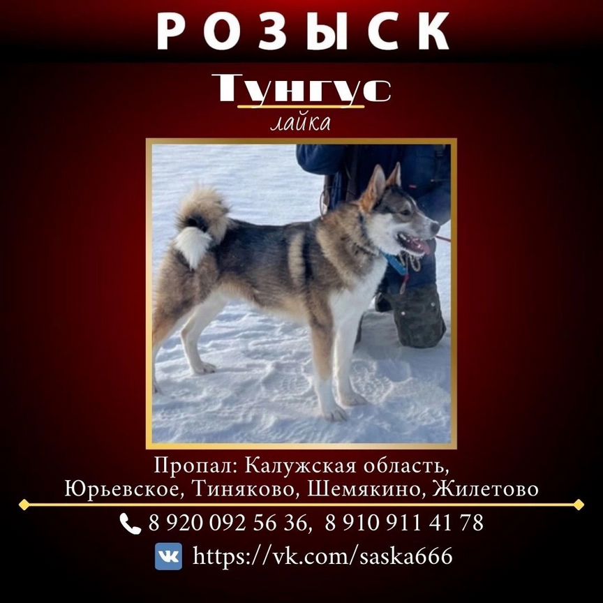 Лайка